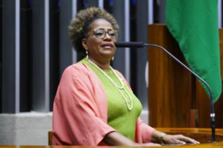 Banco de Imagens - Portal da Câmara dos Deputados